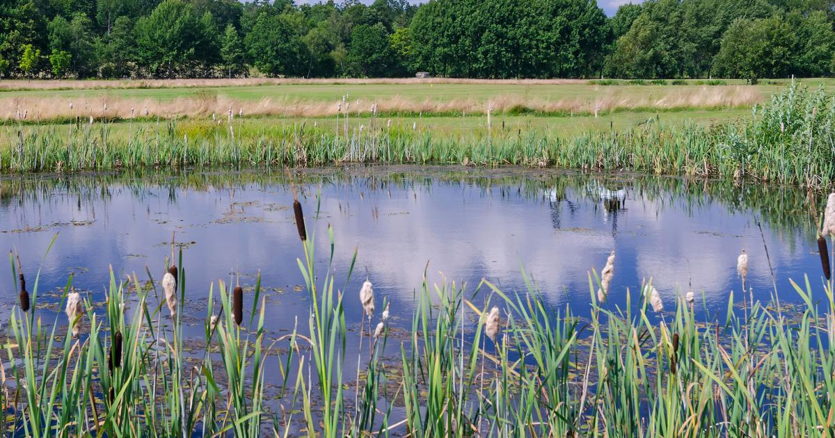 Stream Restoration as a BMP: Crediting Guidance | The Water Research ...