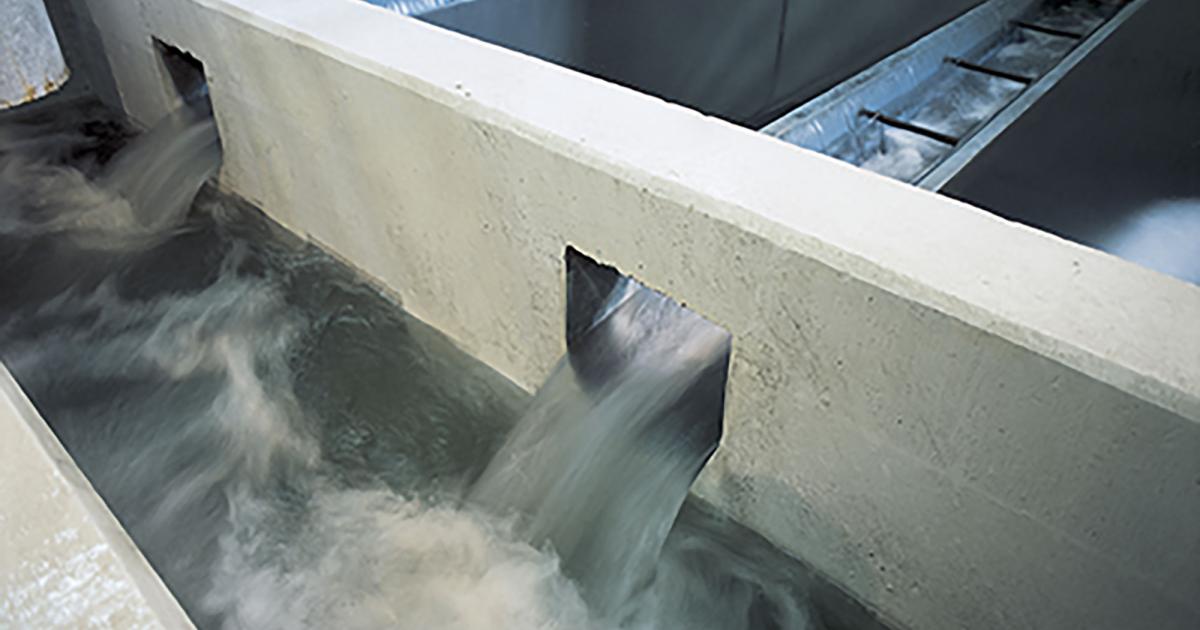 Assessing the Impacts of Backwash Practice on Biofiltration Operation ...