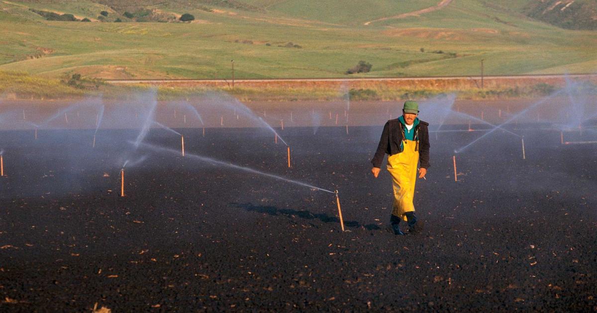 Add-on to NSF proposal: Determining the Role of Organic Matter Quality ...