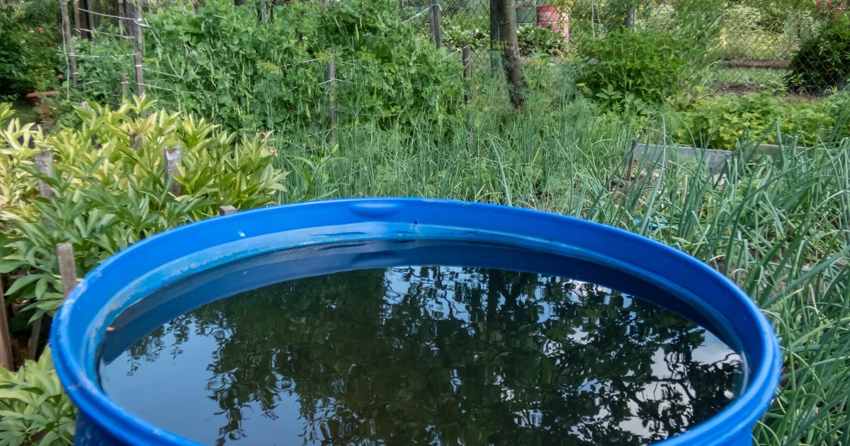 Diversifying Water Portfolios through Stormwater Capture and Use ...